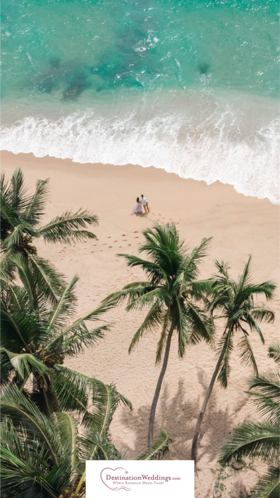 Exclusive Mobile, Desktop and Zoom Backgrounds are Here!