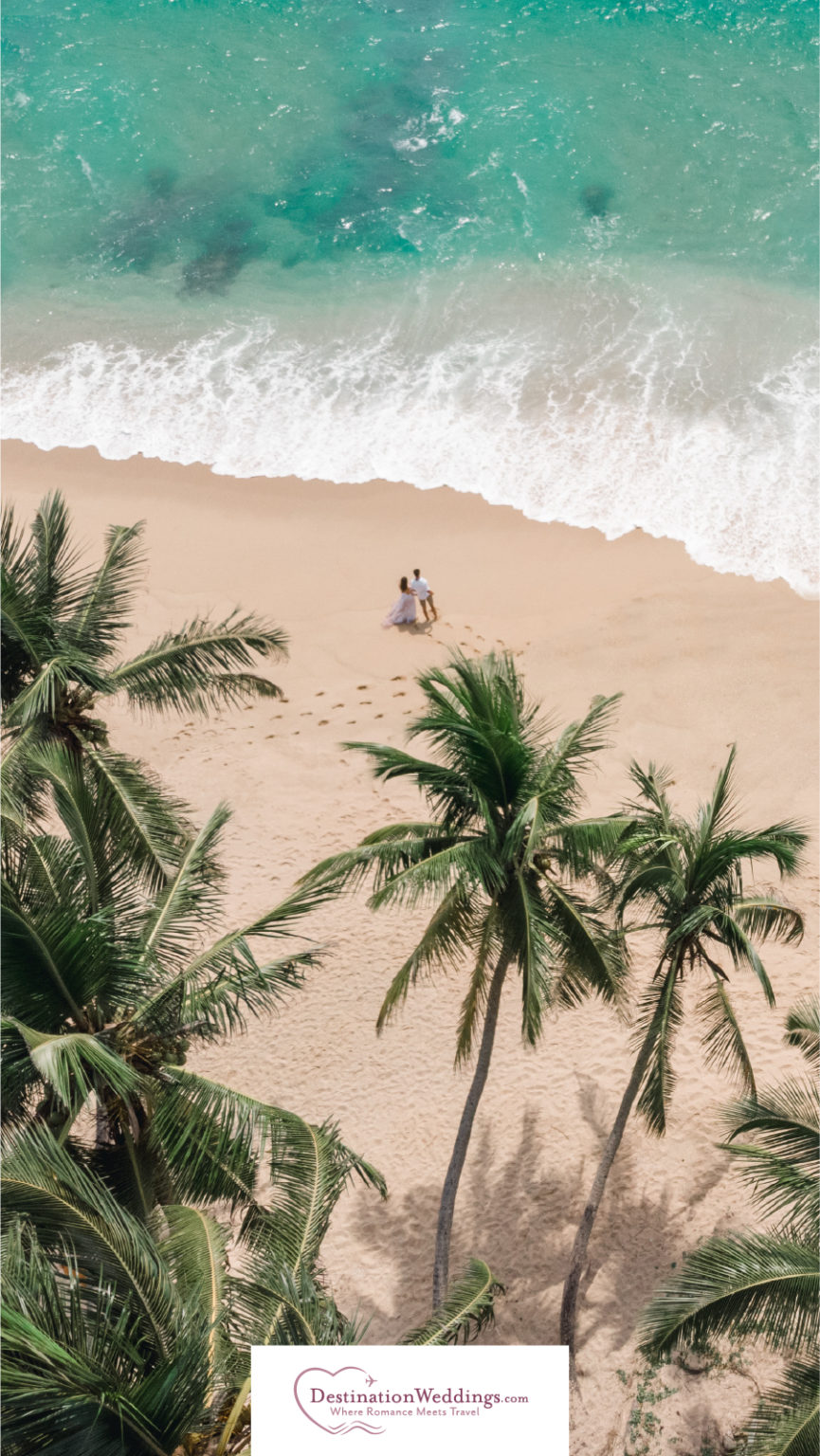 Exclusive Mobile, Desktop and Zoom Backgrounds are Here!