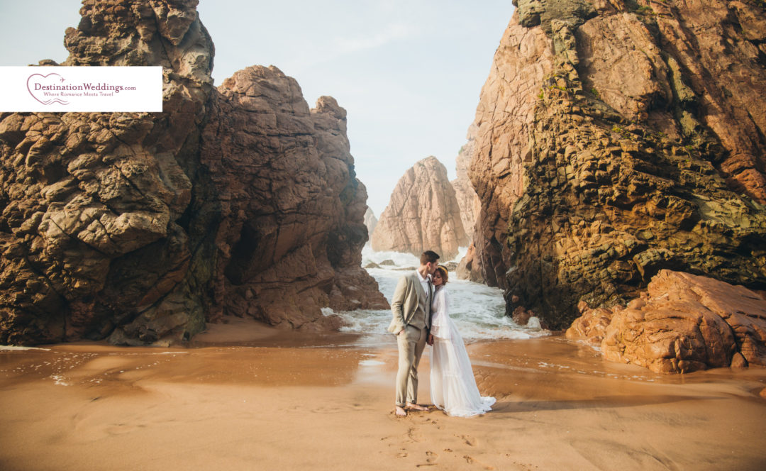 Exclusive Mobile, Desktop and Zoom Backgrounds are Here!