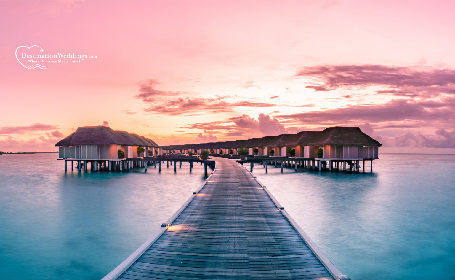 Exclusive Mobile, Desktop and Zoom Backgrounds are Here!