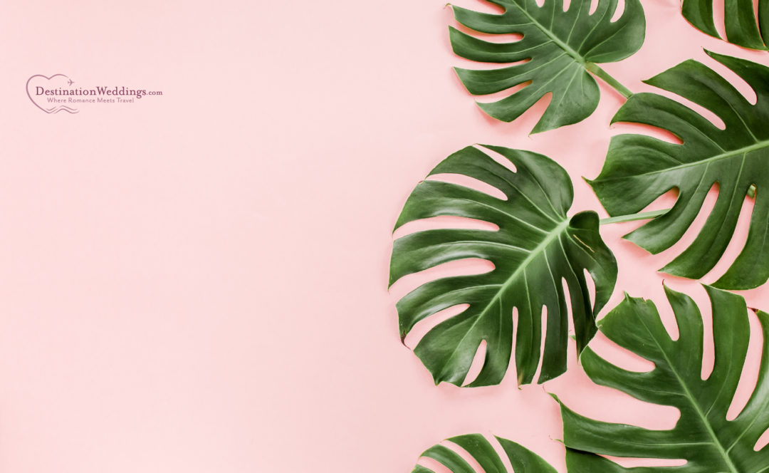 Exclusive Mobile, Desktop and Zoom Backgrounds are Here!